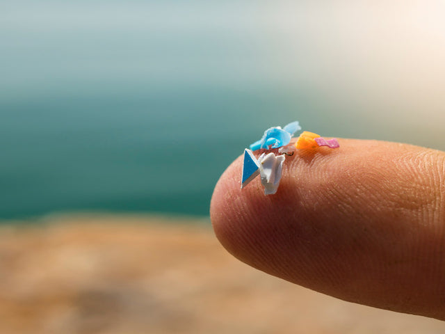 The Impact of Microplastics on Our Oceans and Marine Life – Greenargen